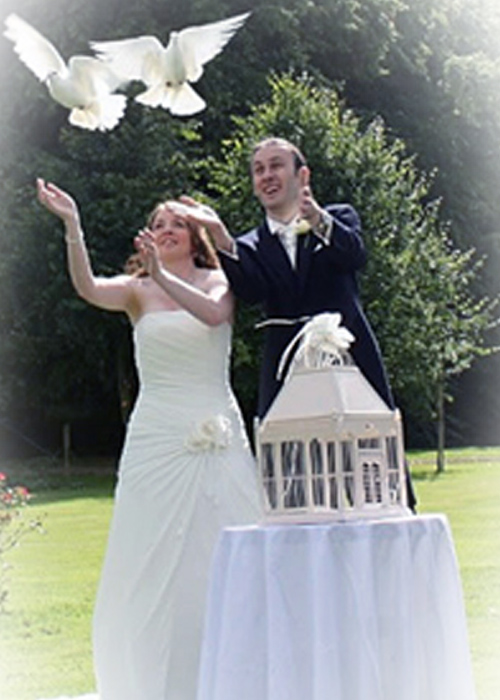 Wedding dove release 60 photos - Astyledwedding.com